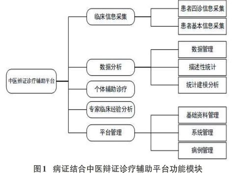 病证结合中医辩证诊疗辅助平台设计与实现 参考网