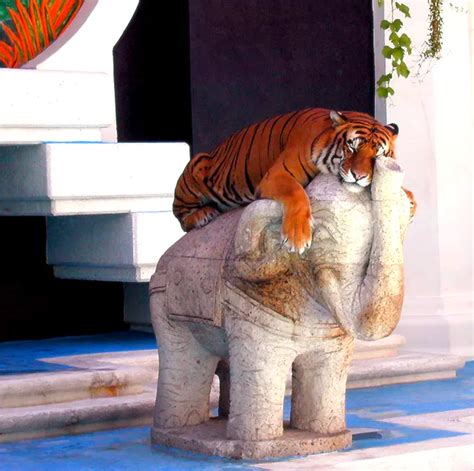 Cross Database Queries With Postgresql Foreign Data Wrappers By Team Timescale Timescale