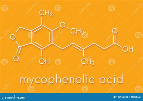 Mycophenolate Mycophenolic Acid Immunosuppressive Drug Molecule Used