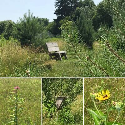 Kuehn Todd Conservation Area The City Of Medina