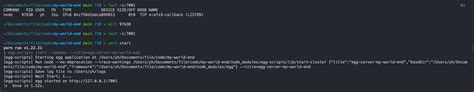 Eggjs 执行 Start 启动报错 Yuhuiyin 博客园