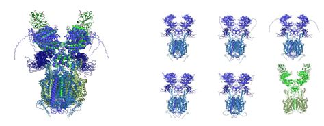 Alphafold2 Alphafold Multimer Alphafold3 Alphafold2 Alphafold Multimer Alphafold3