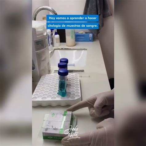 Cápsula Técnica Vet Laura Luna ¿cómo Realizar Una Tinción T15 O