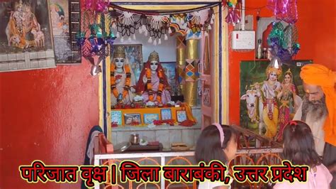 परिजात वृक्ष जिला बाराबंकी उत्तर प्रदेश Parijat Prajakt Tree Youtube