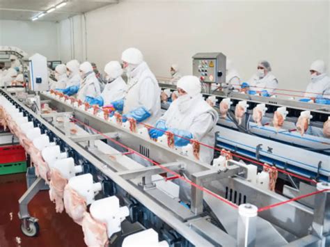 Your Guide To Tuna Processing Equipment And Quality Levapack