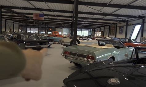 Rianne Geevers Posted On Linkedin