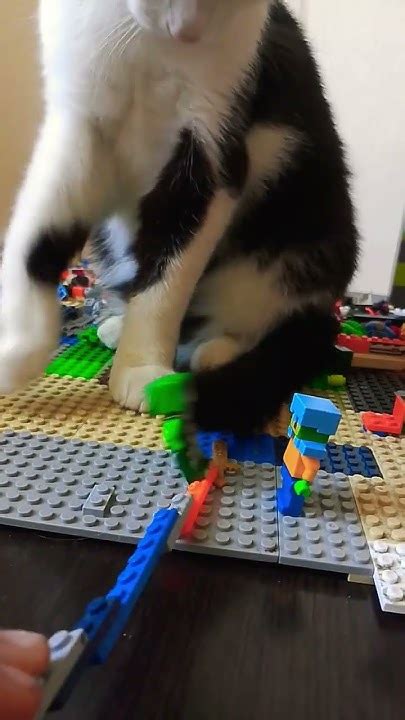 когда случайно задел 7ми классницу Kamavine рек Youtube