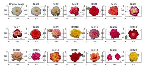 The Proposed Method Using Only The Texture Feature As Feature Download Scientific Diagram