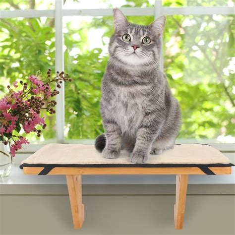 Top 10 Cat Friendly Balcony Ideas