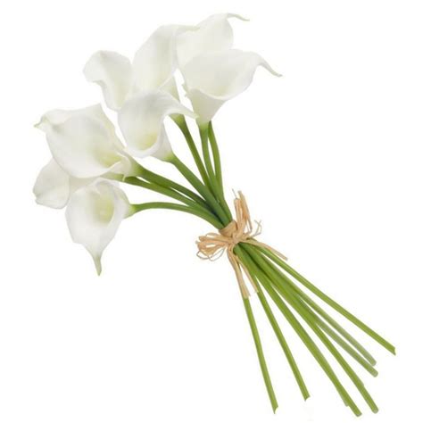 قیمت و خرید گل مصنوعی مدل شاخه شیپوری فومی لمسی مجموعه 10 عددی