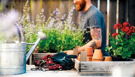 Cuidar los jardines en pleno verano un jardín sano y florecido en 5