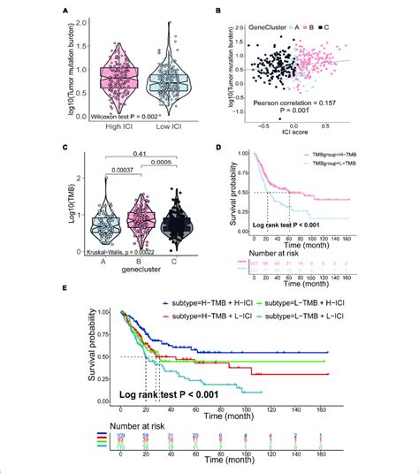 The Relationship Between The Ici Score And Somatic Mutation In The
