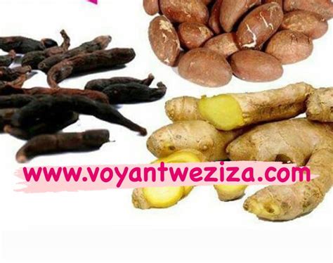 FABRIQUEZ VOUS MÊME VOTRE BOISSON APHRODISIAQUE Puissants rituels de