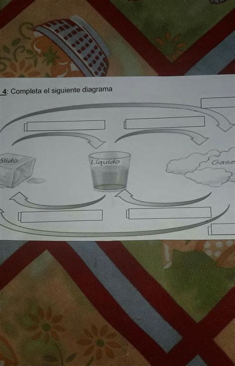 Completa El Siguiente Diagrama Brainly Lat