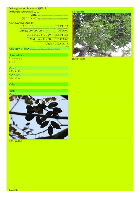 Pdf Dalbergia Odorifera 降香黃檀 In