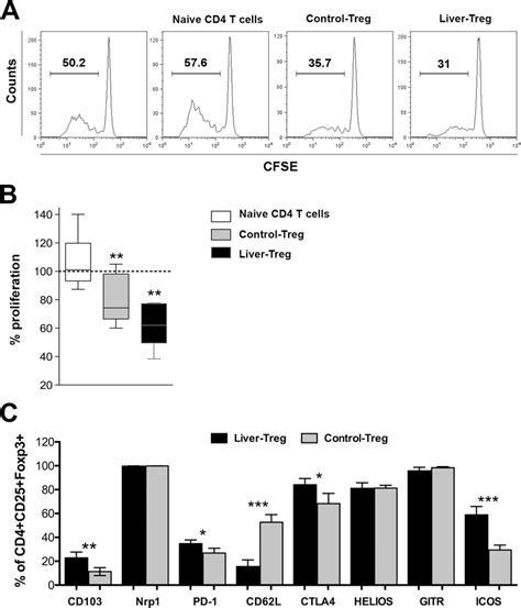 Hepatic Regulatory T Cells Display Effector Treg Phenotype And Suppress