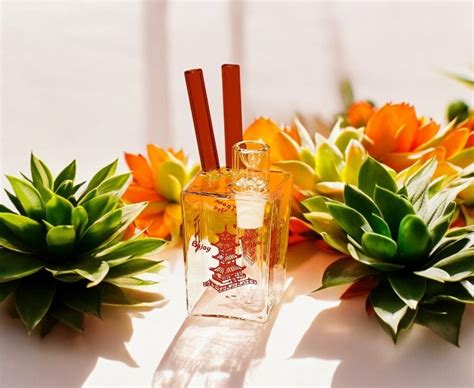 Hemper Chinese Takeout Bong 6 Mini Bong With Chopstick Mouthpiece