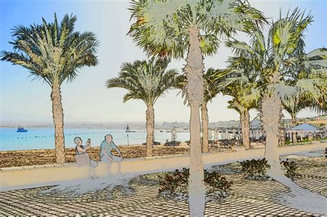 Egypt In Search Of Shells Wild Daffodil