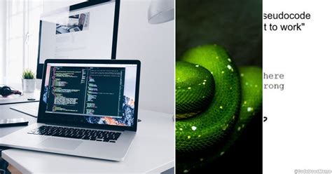 List Programming Curated By Tom Smith Medium