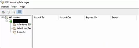 Rd Licensing Manager Shows An Empty Report Microsoft Qanda