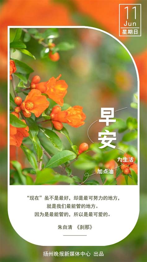 连上热搜！“取消所有的调休”！网友考生通知