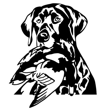 Lab Head Silhouette Decal