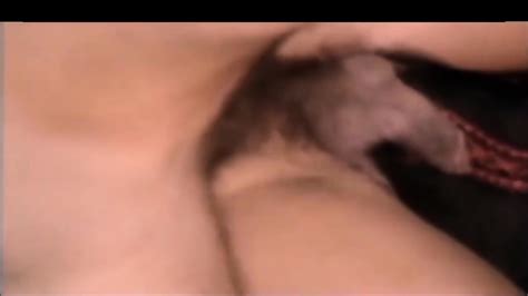 Dana Douglas Fucked Hard Eporner