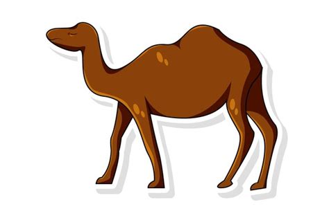 낙타 터 일러스트레이션 프리미엄 벡터