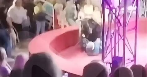 دبة تهاجم مدربها أثناء عرض في روسيا فيديو اليوم السابع