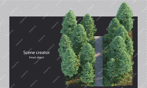 Premium Psd Way Path Through Trees And Grass Field Way Path Through Grass Field And Tree