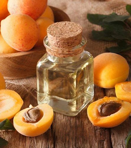 Apricot Kernel Oil At ₹ 650kg Apricot Kernel Oil In Ahmedabad Id