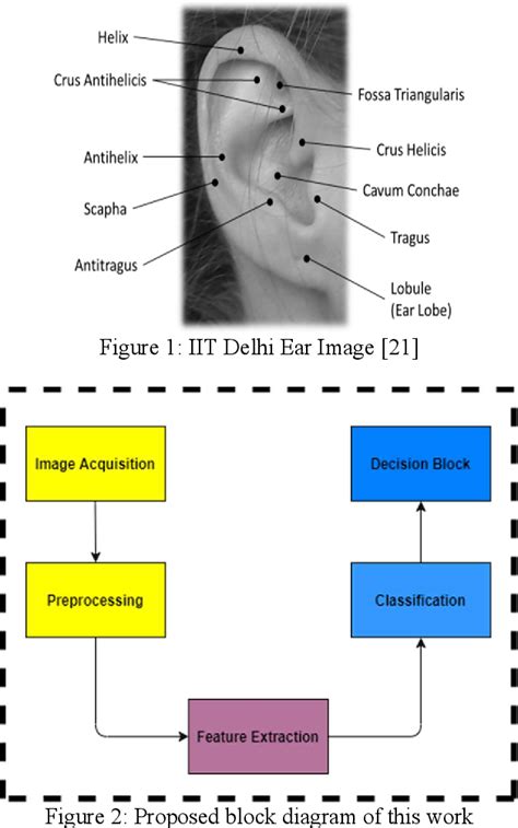 Figure 1 From Human Ear Identification System Using Shape And