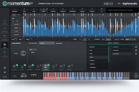 Momentum 20 Sample Slicing And Loop Manipulation Tool Vstauaax Free Vst Hub