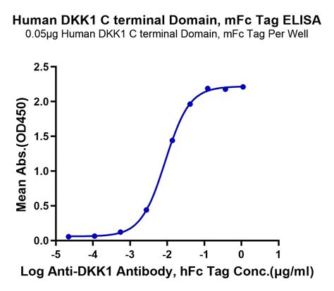 Human Dkk1 C Terminal Domain Protein Dkk Hm31c Kactus