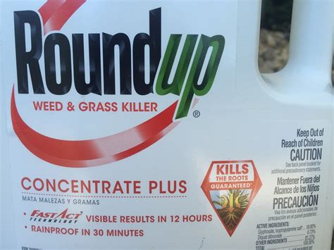 Roundup Concentrate Label The Roundup Rumor