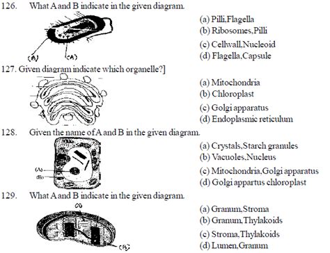 Neet Ug Biology Cell Structure Mcqs Multiple Choice Questions