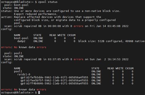 Moving Pool To New Disks Truenas Community