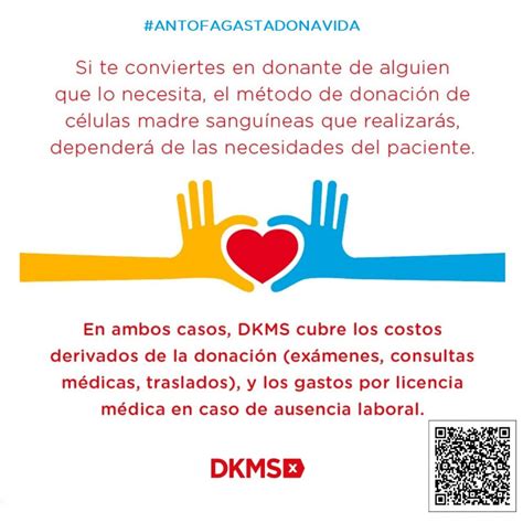 Donación De Médula ósea El Procedimiento De Bajo Riesgo Que Puede