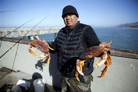 The Only Way To Get Local Dungeness Crab Catch Them Yourself Sport