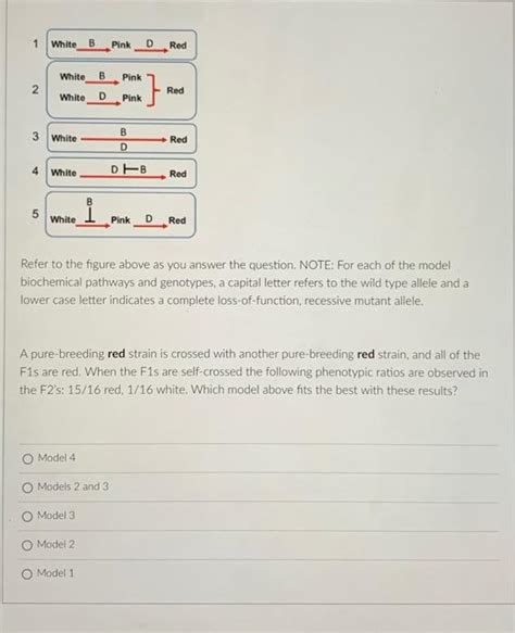 Solved Refer To The Figure Above As You Answer The Chegg