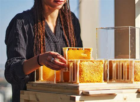 Urban Beekeeping Kit Budget Beekeeping Starter Kit Package Buzzbee