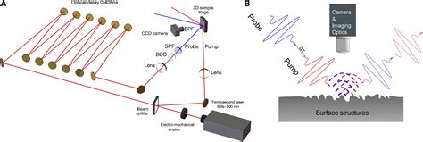 Imaging Nanostructure Phase Transition Through Ultrafast Far Field