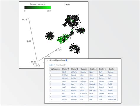 Get To Know Your Cell How To Find The True Identity Of A Gene Partek Inc