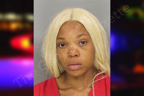 Aria Gargano — Cobb County Jail Bookings