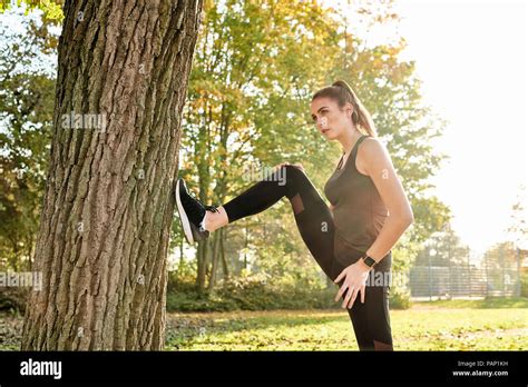 Tree Trunk Legs Hi Res Stock Photography And Images Alamy