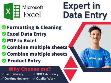 excel data entry cleaning and formatting services upwork