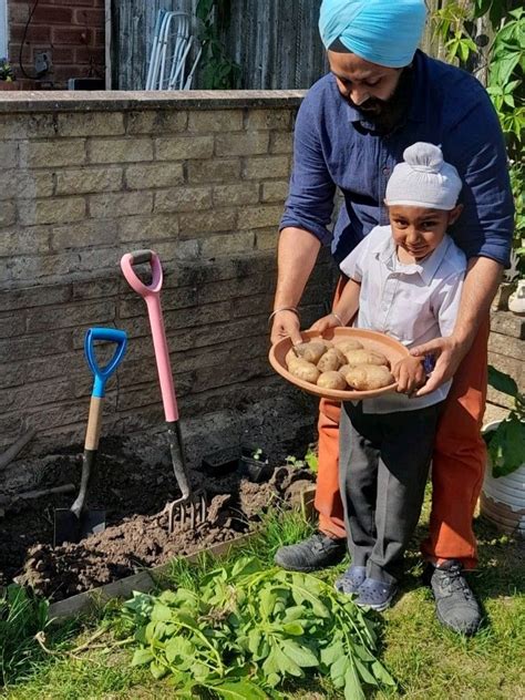 damanjit singh on linkedin homegrown organic greenweek vegetables