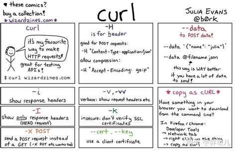 curl基础教程 知乎