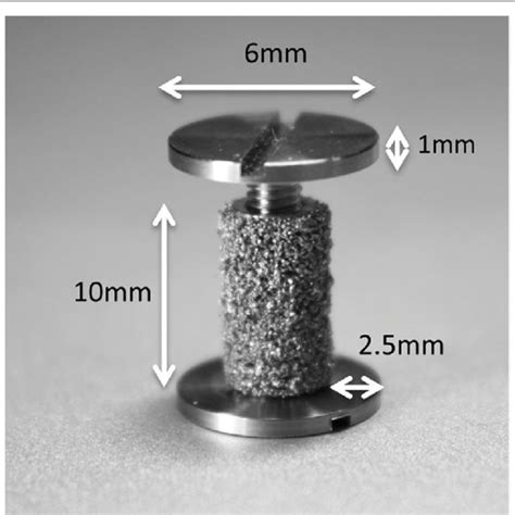 Representative Photos Of Histomorphometry Showing Interventions Vs
