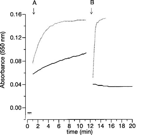 Cytochrome C Reduction In The Absence Of Dtt Dtt Was Left Out Of The